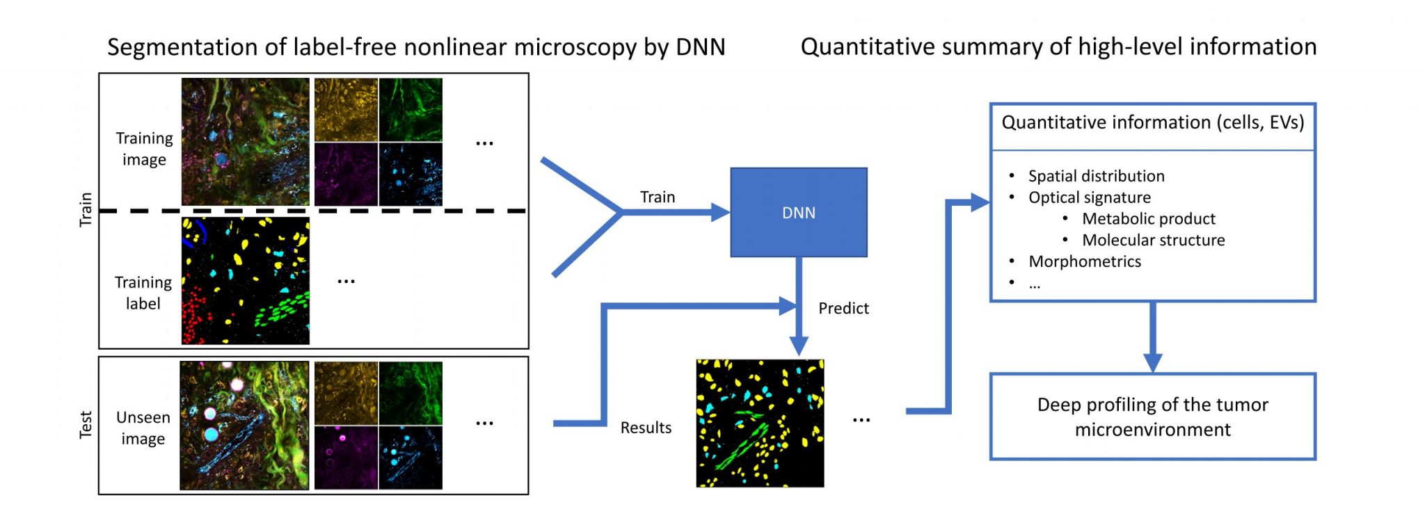 Computational Biophotonics Lab - Research