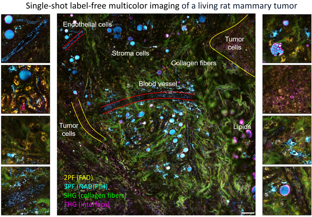 Computational Biophotonics Lab - Research