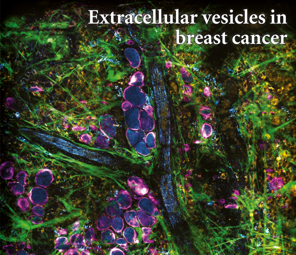 Computational Biophotonics Lab - Research